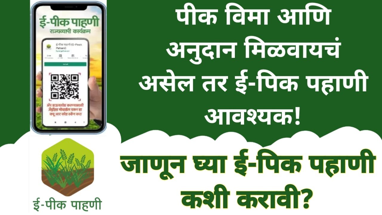 E-Pik Pahani: पीक विमा आणि अनुदान मिळवायचं असेल तर ई-पिक पहाणी आवश्यक ...