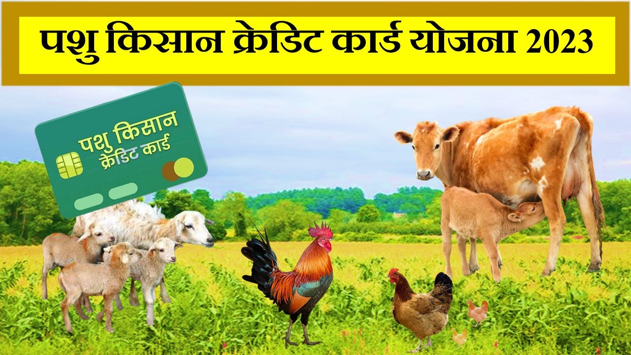 आता मिळेल गुरे खरेदीसाठी कर्ज Pashu kisan credit Card PDF Application ...